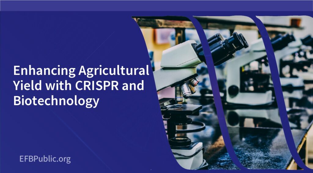 Enhancing Agricultural Yield with CRISPR and Biotechnology